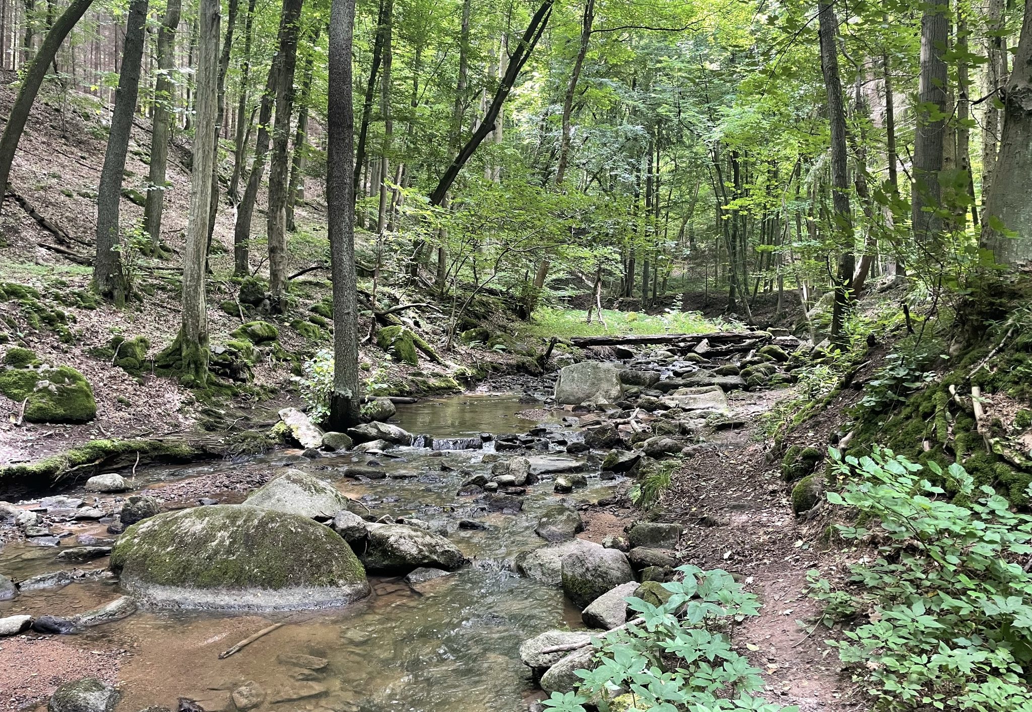 sembera_1 – my♡Czech walks